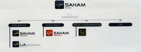Saham : Rebranding général du groupe - Le Reporter.ma
